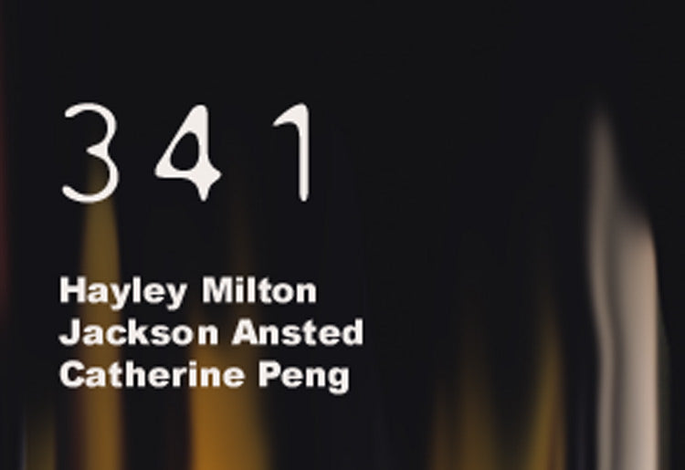 341 - ART GRADUATE GROUP SHOW – MDGallery